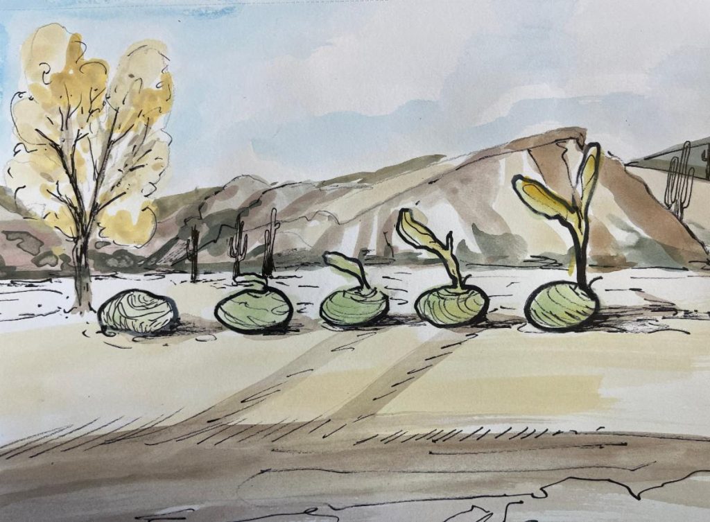 The Song of Life – Center for Spiritual Living Tucson